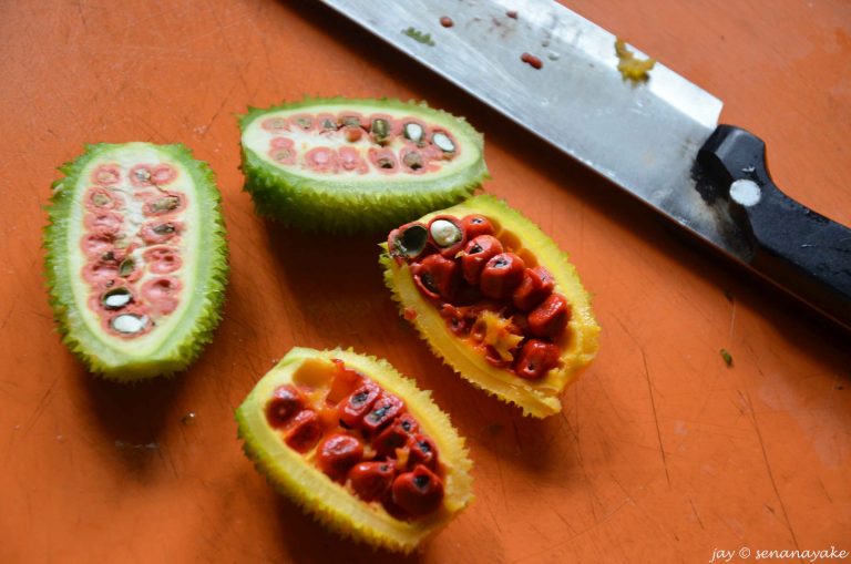 How to make Thumba Karavila curry - The Sri Lankan way | Peckish Me